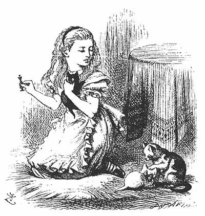 アメリカからの輸入スタンプ。 「不思議の国のアリス」より ジョン テニエルの挿絵です。 スタンプの絵柄サイズ：6.9×6.7センチ ゴム製印面+クッション+粘着シートの3層になっています。 木の持ち手の無い、印面のみのスタンプ。 粘着シート...