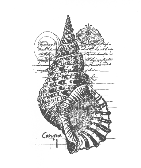 《貝殻のコラージュ》 スタンプの絵柄サイズ：7.3 × 4.4 センチ ゴム製印面+クッション+粘着シートの3層になっています。 木の持ち手の無い、印面のみのスタンプ。 粘着シート付きなので、簡単に持ち手に着脱できます。 スタンプを押すため...