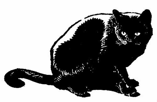 輸入スタンプです。 《猫》 スタンプの絵柄サイズ： 29 × 49 mm スタンプサイズ： 39 × 51 × 24 mm 素材：ゴム×木　