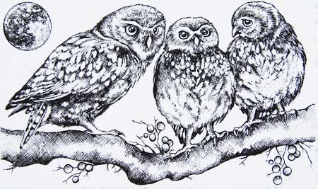 ゴムの印面のみ（クッション無し）のスタンプ。 木の持ち手は付いていません。 クッションシート、アクリルブロックとともにお使い下さい。 《フクロウの家族》 スタンプの絵柄サイズ:11.5 × 6.7 センチ 素材：ゴムの印面のみ *デザインの...