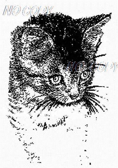 ゴムの印面のみ（クッション無し）のスタンプ。 木の持ち手は付いていません。 クッションシート、アクリルブロックとともにお使い下さい。 《子猫》 スタンプの絵柄サイズ：8 × 5.5 センチ 素材：ゴムの印面のみ ↓クッションシートの使い方は...