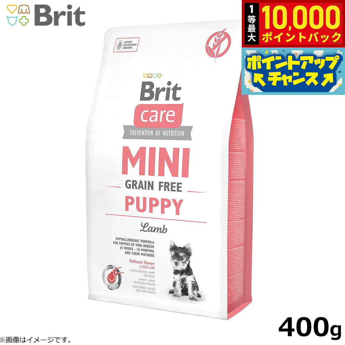 新鮮なラム肉を使った小型犬のパピー用グレインフリーフード。妊娠・授乳中の母犬にもお勧めです。良質なタンパク質であるラムは、消化がよく低アレルゲンで必須栄養素を豊富に含みます。ブルーベリーとハーブを配合した穀物不使用のレシピが食物アレルギーに...