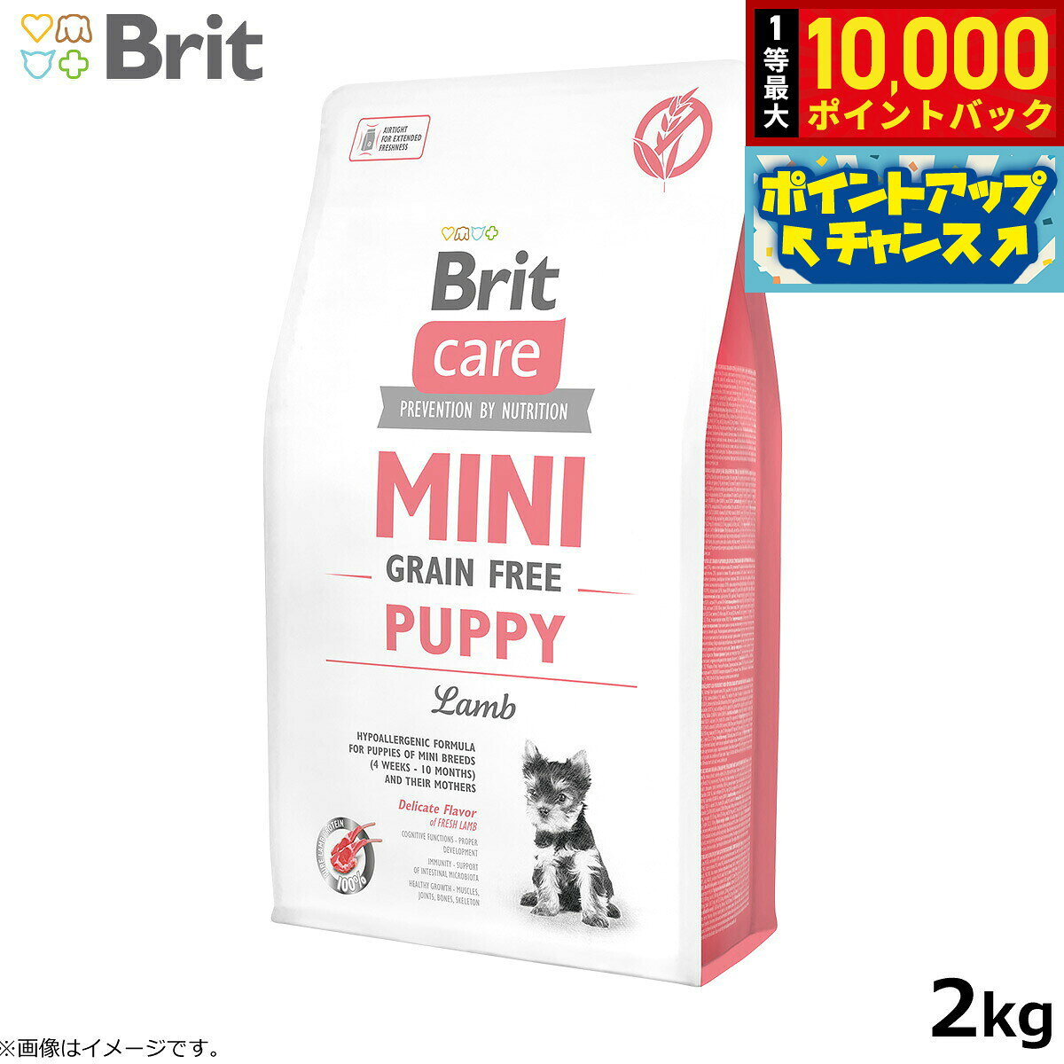 新鮮なラム肉を使った小型犬のパピー用グレインフリーフード。妊娠・授乳中の母犬にもお勧めです。良質なタンパク質であるラムは、消化がよく低アレルゲンで必須栄養素を豊富に含みます。ブルーベリーとハーブを配合した穀物不使用のレシピが食物アレルギーに...