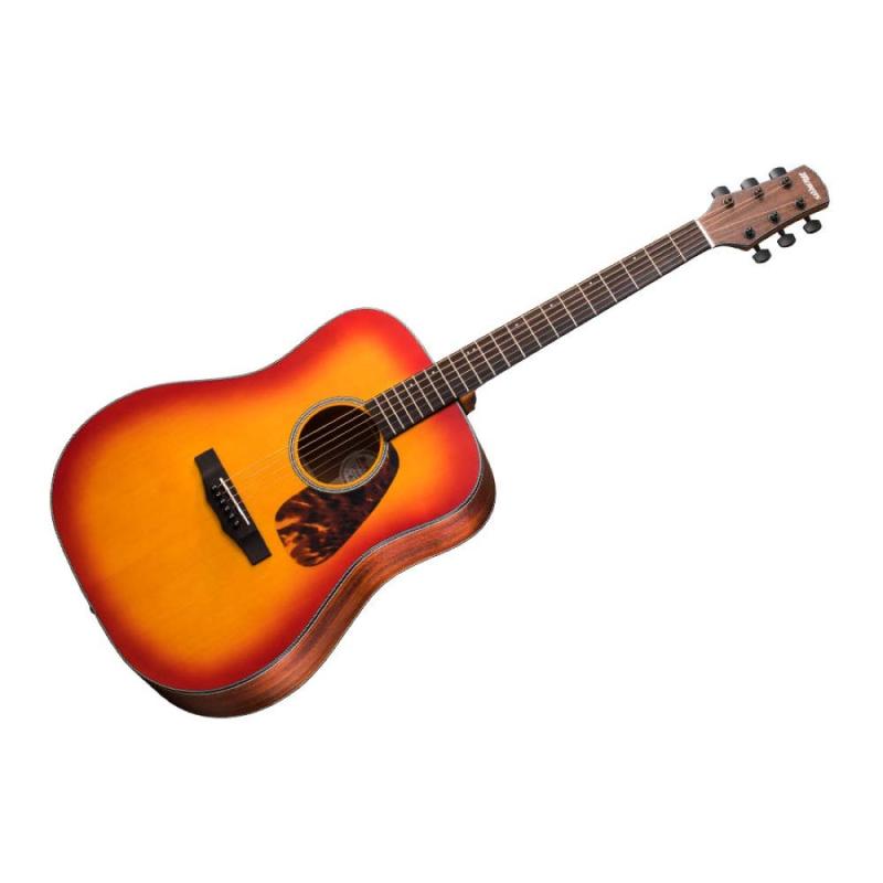 Morris モーリス Perfomers Edition F-021 / M-021 アコースティックギター つや消し マット塗装
