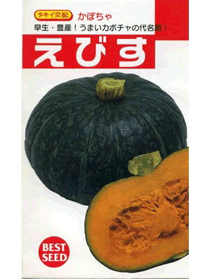 「えびす」は美味しいかぼちゃの代名詞とまで言われたタキイ種苗の優れた種です。 ベストセラー的な種であり、全国的に根強い人気があります。 やはり、当店でも一番人気はこの「えびす」カボチャです。 まさに定番品と言えます。 早生タイプであり、豊作...