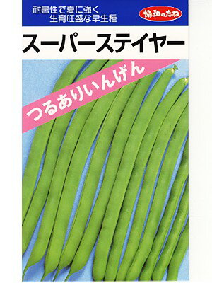みかど協和のスーパーステイヤーは、つくりやすく秀品率がとても高い半つる性インゲン品種です。 低節位から成り始めてスタミナもあるので、早くからの長期どりに向いています。 また、暑さにも強いと定評がありまるインゲン品種です。 スーパーステイヤー...