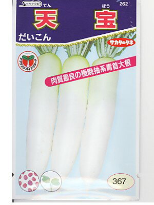 サカタ交配「天宝」大根は、種の蒔き時期が非常に長い大根です。 （一般地では12月～4月まで種まきができます。） 青の部分が鮮やかなので、見た目はすっきりしている感じがする春大根です。 天宝大根は、超晩抽系の春大根なので比較的に安心して栽培で...