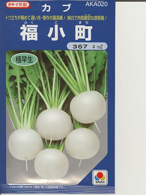 「福小町」はトウ立ちが遅く、低温期の肥大がよい小～中カブです。 玉は純白豊円に良くそろい、肉質は緻密で柔らかいです。 葉軸がしっかりしており、晩秋～春まき栽培に最適な極早生種です。 〇中間地では9月5日頃～10月15日頃まで種まきできます。...