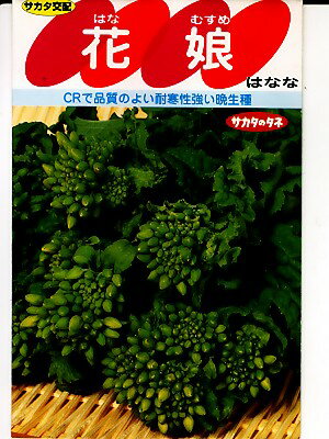 サカタ交配「花娘」は、食用花菜の種子です。「花菜　花娘」は中晩生タイプのの食用花菜です。　　蕾の黄化が比較的ゆっくりなので収穫期にやや幅があるのがうれしい品種です。　　　　寒さにもとても強く、生育旺盛なタイプの食用花菜です。　　　ネコブ病に...