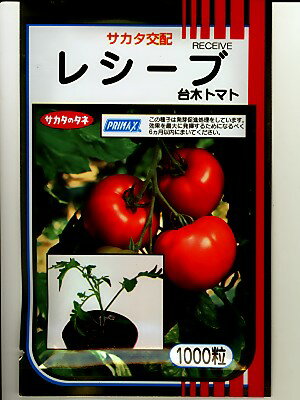 台木トマトのレシーブは、青枯れ病に対してとても強い耐病性を持っています。 青枯病で被害が大きい時期（トマトの夏秋栽培や抑制栽培）におすすめの台木トマトです。 青枯病以外にもバランスよく病気に強いタイプのトマト台木です。　　特に青枯病に強くし...