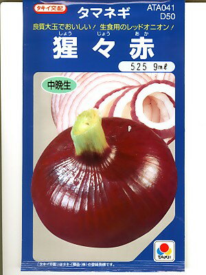 猩々赤は、非常にきれいな濃い赤色の玉ねぎ種です。 一般的な赤玉ネギよりも赤色が濃く、見た目がきれいな感じになります。 中晩生タイプで、一般的な赤玉ねぎよりも少し大きめになります。 平均で320g位になるようです。 首の部分が細長いので、切り...