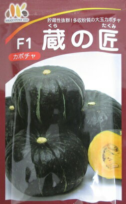 みかど協和の蔵の匠カボチャは、貯蔵性が特に優れた品種です。 皮の色の変色が遅く、腐敗にも強く、貯蔵性が抜群です。 適期に収穫をして、環境が整えば3カ月以上の貯蔵が可能です。 貯蔵して時間がたつと次第に甘みが増して、ホクホクとして美味しい大玉...