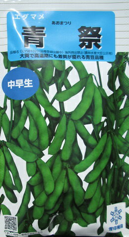 雪印種苗の青祭は、高温に強い枝豆品種です。 一般枝豆品種に比べて、高温期の着果性に優れています。 やや熟期が遅い中早生品種です。 大莢で濃緑色になります。 莢の黄化が他の品種に比べて遅いようなので、在圃性に優れているようです。 一般地や暖地...
