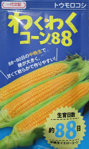 わくわくコーン88は中晩生のイエロートウモロコシ品種です。 春まきはもちろん、夏まきの抑制栽培にも利用できる優れた品種です。 トンネル栽培、マルチ栽培、露地栽培、抑制栽培といろいろな作型で利用できます。 生育日数は88日から90日ぐらいで、...