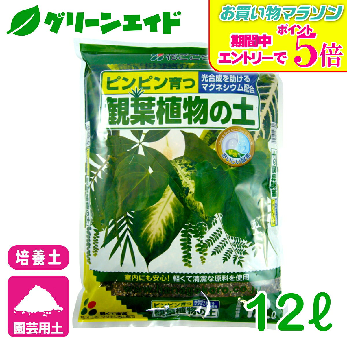 商品情報主原料ココナッツファイバー、木質堆肥、パーライト、バーミキュライトサイズ12L用途観葉植物全般特徴■葉の色が良くなるマグネシウムを配合■元肥が入って配合の手間なし！そのまま使えます■室内でも安心■軽くて清潔な原料を使用検索キーワード...