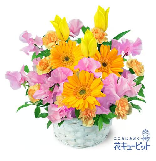 商品情報注意事項写真はイメージです。地域・季節によって、一部花材・花器等が異なる場合がございます。スタイルアレンジメント/ワンサイドサイズ高さ28×幅30×奥行27cm商品説明チューリップを中心に黄色系の花でまとめた春らしいアレンジメント。...