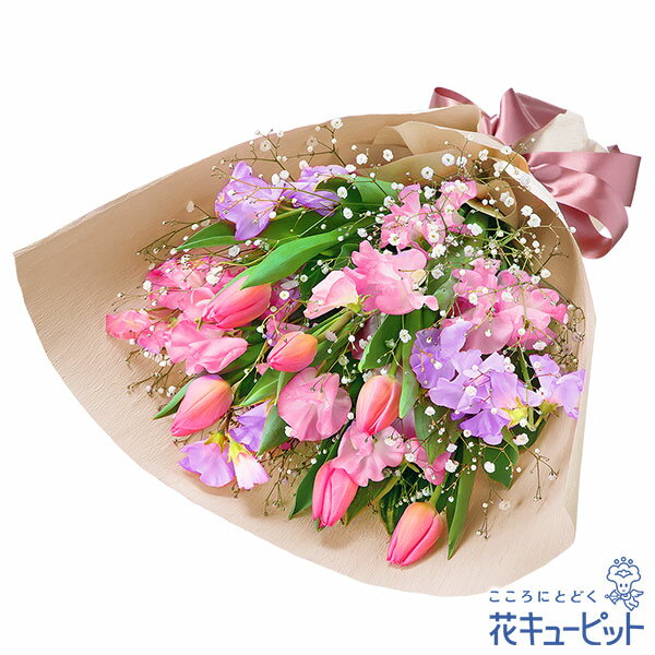 商品情報注意事項写真はイメージです。地域・季節によって、一部花材・花器等が異なる場合がございます。スタイル花束/ワンサイドサイズ長さ45×幅35×奥行23cm商品説明ピンクのチューリップと紫のスイートピーをあわせて、ふんわりと可愛らしくまと...