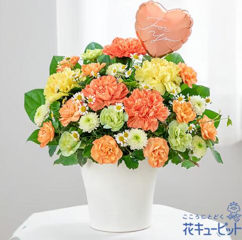 商品情報注意事項写真はイメージです。地域・季節によって、一部花材・花器等が異なる場合がございます。スタイルアレンジメント/ワンサイドサイズ高さ30×幅25×奥行22cm商品説明いつも頑張っているお母さんに、心を込めてあたたかいエールを贈りま...
