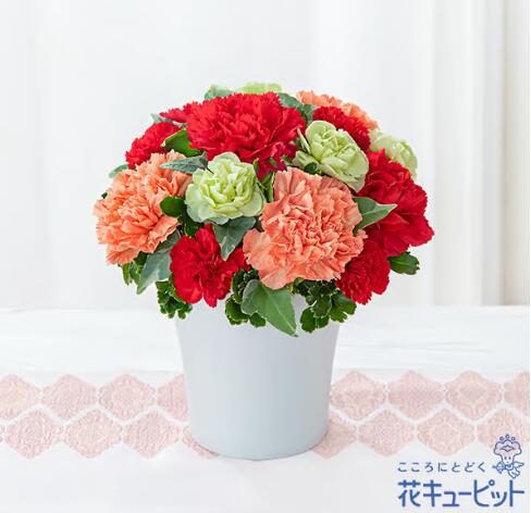 商品情報注意事項写真はイメージです。地域・季節によって、一部花材・花器等が異なる場合がございます。スタイルアレンジメント/オールラウンドサイズ高さ21×幅19×奥行19cm商品説明母の日の花といえば、赤いカーネーションのギフトが人気。鮮やか...