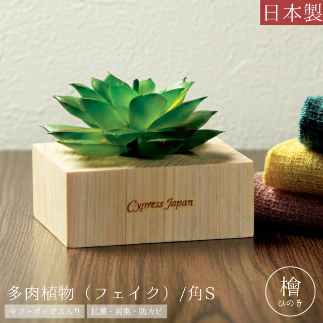 【検索ワード】檜/ヒノキ/ひのき/観葉植物/多肉植物/観賞用/多肉/フェイク/フェイクグリーン/樹脂/樹脂製/お手入れ不要/水不要/人口/天然木/ノンケミカル/無垢木/抗菌/防カビ/消臭/大人/メンズ/レディース/男性/女性/おしゃれ/お洒...