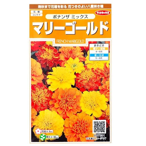 商品情報商品名商品名マリーゴールド　 ボナンザ ミックス【学名：Tagetes patula】【英名：Franch Marigold】【和名：クジャクソウ】科・属名キク科タゲテス属原産地メキシコ、グァテマラ生産地台湾特長花径約5cmのフレン...