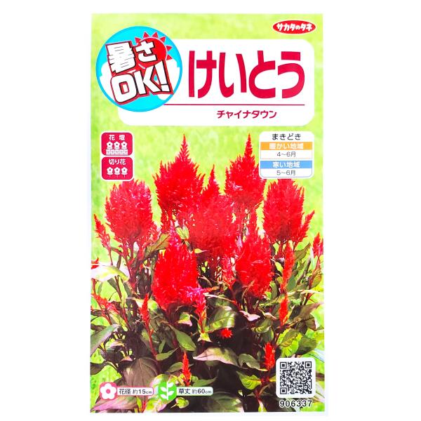 商品情報商品名けいとう　チャイナタウン【学名：Celosia cristata】【英名：Common Cockscomb】【和名：ウモウケイトウ】科・属名ヒユ科ケイトウ属原産地熱帯アジア、インド生産地フランス特長葉色に銅葉から緑葉が混じりと...