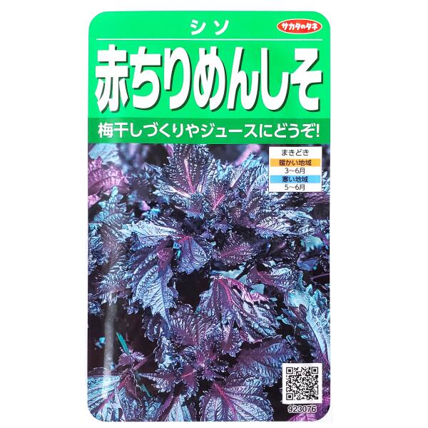 商品情報商品名赤ちりめんしそ科・属名シソ科シソ属原産地中央アジア生産地中国特長日本に古くから利用されてきた赤紫色の品種です。葉が縮れ、芽ジソ、穂ジソはツマや薬味として、葉ジソは梅干しや、しょうが漬けの色づけなど広く利用できます。（シソは特性...