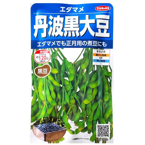 商品情報商品名丹波黒大豆　エダマメ科・属名マメ科ダイズ属原産地中国生産地滋賀県特長品質のよい大粒の黒豆。エダマメ用として収穫すれば、コクと甘みの強いおいしいエダマメが楽しめます。煮豆用として収穫すれば、煮ても色ツヤのよいふっくらとした煮豆が...