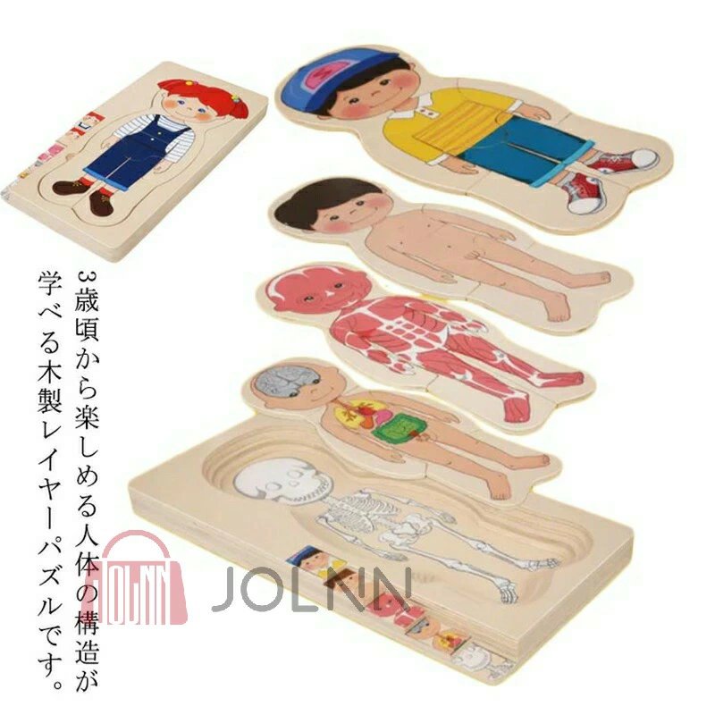 遊びながら学べる「5層のレイヤー構造」「服皮膚」「筋肉」「内臓」「骨格」など、体の構造が5つのレイヤー（層）に分かれたパズルです。パズルを一枚ずつ完成させていく過程で、人間の体がどのように重なり、成り立っているのかを視覚的に理解することがで...