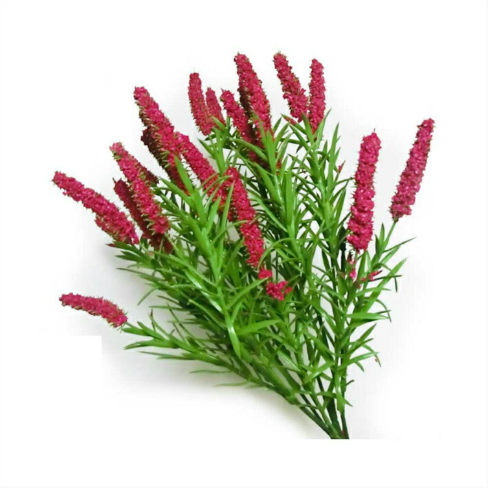 サイズ：花の大きさ1輪　約1x1x6cm 　　　　葉を含めた全体の大きさ　約18x15x38cm 　　　　＊茎部分の広げ方で大きさが変わります。 カラー：ピンクレッド 1株　（20〜21輪） 材質:ポリエステル、ポリエチレン、鉄 屋内装飾用...