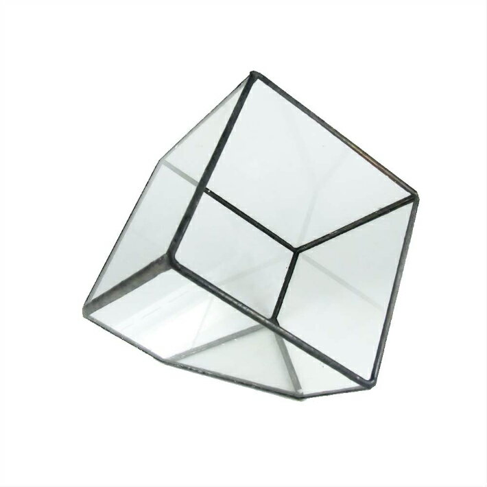 ラティス型プランター エアープランツ・多肉植物用プランター 製品寸法：14.5x14.5x14.5cm（高さ14.5cm） 材質：ガラス、スチール インテリアとしても使えるおしゃれなデザイン ＊水漏れの恐れがあるため、水をためてのご使用はで...