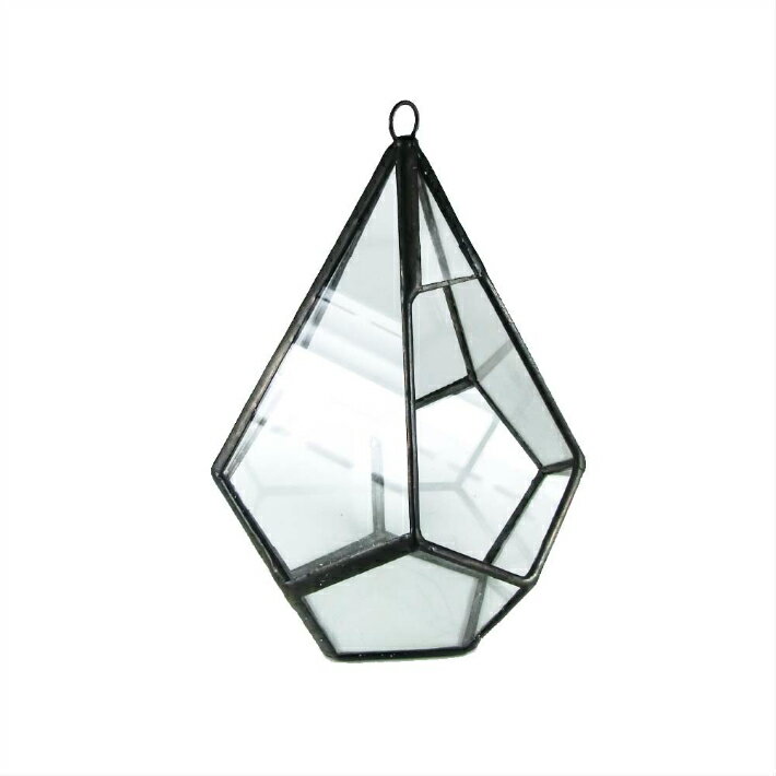 ラティス型プランター エアープランツ・多肉植物用プランター 製品寸法：11x11x16cm（高さ16cm） 材質：ガラス、スチール インテリアとしても使えるおしゃれなデザイン ＊水漏れの恐れがあるため、水を入れてのご使用はできません。