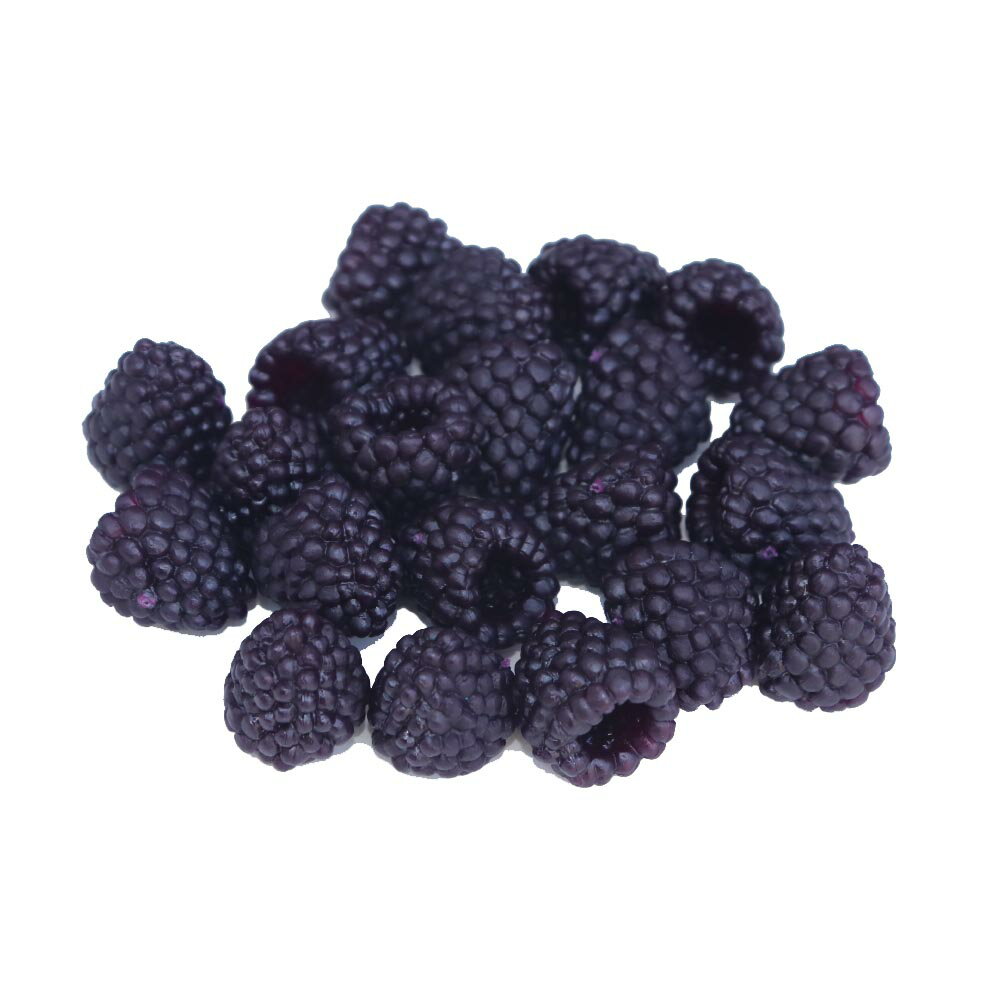 食品サンプル、果物・野菜の模型 ラズベリー　20個パック 実物大の模型です。 1個あたりの大きさ：約2x2x2cm カラー：ブラック