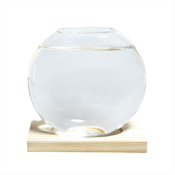 材質：ガラス、木 製品サイズ：約12.5x12.5x4.5cm（高さ12.5cm） 台座付き 水耕栽培、水栽培用の容器です。 花瓶としてもご使用いただけます。 ハイドロカルチャー・観葉植物・多肉植物・花などの水栽培に。 インテリアとしても使...
