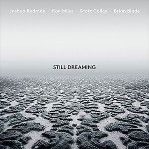 STILL DREAMING （FEAT. RON MILES. SCOTT COLLEY ＆ BRIAN BLADE）詳しい納期他、ご注文時はお支払・送料・返品のページをご確認ください発売日2018/5/25JOSHUA REDMAN /...