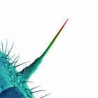 AND I’LL SCRATCH YOURS詳しい納期他、ご注文時はお支払・送料・返品のページをご確認ください発売日2013/9/24PETER GABRIEL / AND I’LL SCRATCH YOURSピーター・ガブリエル / アン...