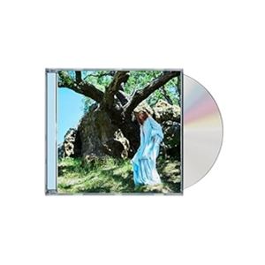 BLUE ISLAND詳しい納期他、ご注文時はお支払・送料・返品のページをご確認ください発売日2026/8/7RAVYN LENAE / BLUE ISLANDラヴィン・レナエ / ブルー・アイランド ジャンル 洋楽ソウル/R&B 関連キー...