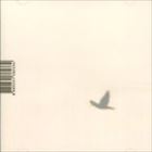 5TH ALBUM （REISSUE）詳しい納期他、ご注文時はお支払・送料・返品のページをご確認ください発売日2014/3/18SISTER’S BARBER SHOP / 5TH ALBUM （REISSUE）シスターズ・バーバー・ショッ...