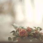 オリーナ シー シー オリーナ詳しい納期他、ご注文時はお支払・送料・返品のページをご確認ください発売日2013/3/28シー・オリーナ / シー・オリーナシー オリーナ ジャンル イージーリスニングヒーリング/ニューエイジ 関連キーワード ...