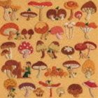LIVE AT LA CANA AUTUMN詳しい納期他、ご注文時はお支払・送料・返品のページをご確認ください発売日2010/8/18沢知恵 / ライブ・アット・ラカーニャ 秋LIVE AT LA CANA AUTUMN ジャンル 邦楽J-...