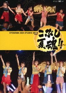 詳しい納期他、ご注文時はお支払・送料・返品のページをご確認ください発売日2019/1/16こぶしファクトリー／OTODAMA SEA STUDIO 2018 〜こぶし夏魂!!〜 ジャンル 音楽邦楽ロック 監督 出演 こぶしファクトリーハロー...