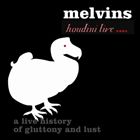 HOUNDINI LIVE 2005詳しい納期他、ご注文時はお支払・送料・返品のページをご確認ください発売日2006/5/9MELVINS / HOUNDINI LIVE 2005メルヴィンズ / ハウンディニ・ライヴ2005 ジャンル 洋...