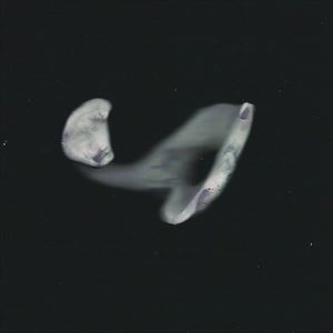 デトレフ デトレフ イーピー詳しい納期他、ご注文時はお支払・送料・返品のページをご確認ください発売日2016/2/5Detlef / Detlef EPデトレフ イーピー ジャンル 洋楽ロック 関連キーワード Detlef新興レーベル“To...