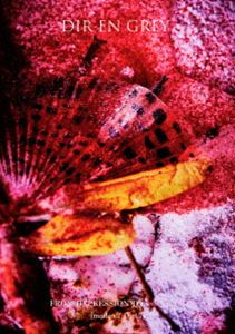 ディルアングレイ フロムデプレッショントゥモードオブ16カラ17詳しい納期他、ご注文時はお支払・送料・返品のページをご確認ください発売日2019/8/7関連キーワード：DIRENGREY SFBD-0072 フロムデプレッショントゥ liv...