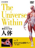 詳しい納期他、ご注文時はお支払・送料・返品のページをご確認ください発売日2003/4/25NHKスペシャル 驚異の小宇宙 人体 なめらかな連携プレー〈骨・筋肉〉 ジャンル 国内TVドキュメンタリー 監督 出演 小出五郎タモリ人間の体内で起こ...