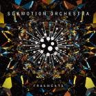 サブモーションオーケストラ フラグメンツ詳しい納期他、ご注文時はお支払・送料・返品のページをご確認ください発売日2012/9/19サブモーション・オーケストラ / フラグメンツフラグメンツ ジャンル 洋楽クラブ/テクノ 関連キーワード サブ...