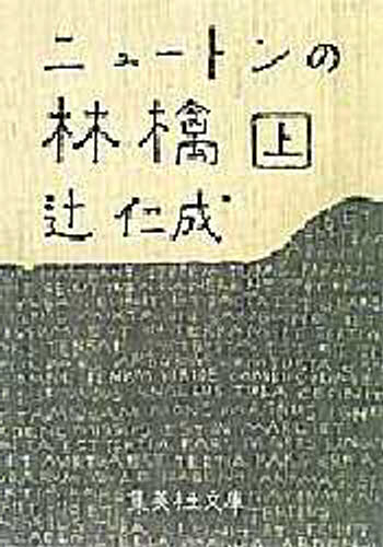 辻仁成／著集英社文庫本詳しい納期他、ご注文時はご利用案内・返品のページをご確認ください出版社名集英社出版年月1999年06月サイズ352P 16cmISBNコード9784087470574文庫 日本文学 集英社文庫ニュートンの林檎 上ニユ-...