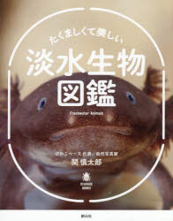 関慎太郎／著SCARABE BOOKS本詳しい納期他、ご注文時はご利用案内・返品のページをご確認ください出版社名創元社出版年月2025年07月サイズ139P 19cmISBNコード9784422430652趣味 アウトドア フィールド図鑑た...