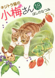 ほしのなつみ／著コミック 333 ねこぱんちコミックス本[コミック]詳しい納期他、ご注文時はご利用案内・返品のページをご確認ください出版社名少年画報社出版年月2018年09月サイズ189P 18cmISBNコード9784785962869コ...