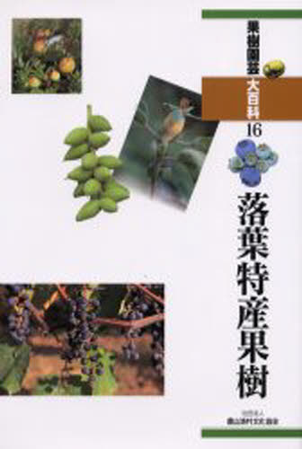 農文協／編果樹園芸大百科 16本詳しい納期他、ご注文時はご利用案内・返品のページをご確認ください出版社名農山漁村文化協会出版年月2000年03月サイズ379P 図版16P 27cmISBNコード9784540993466理学 農学 営利園芸...